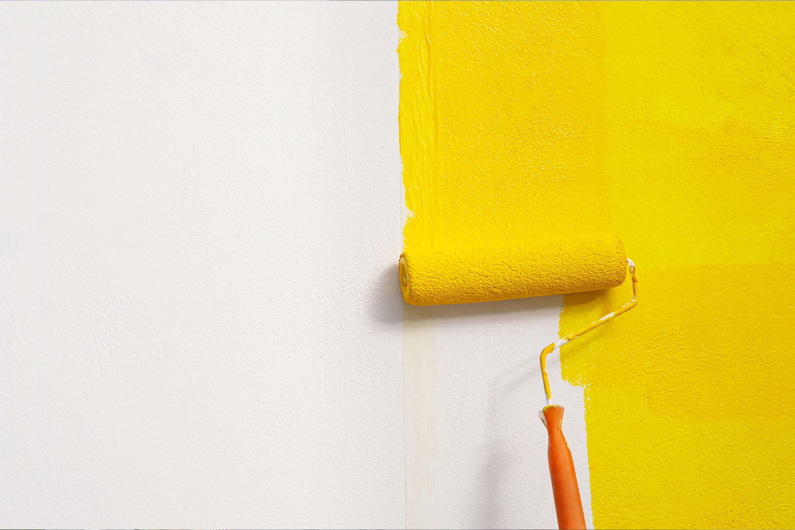 Paint & Coating Pigments | Durable Solutions by TSC